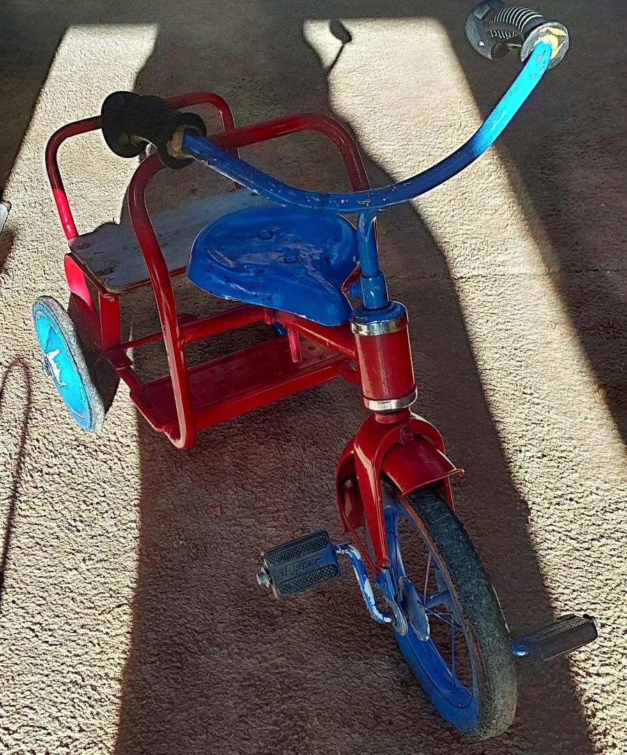 Red and Blue Bike